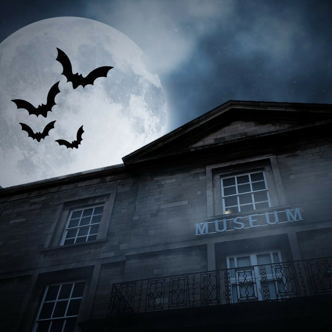 Homepage - Museum & Art Gallery